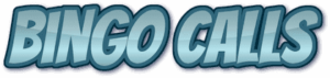 List of All Bingo Calls ⚡ Funny & Rude Bingo names 1-90